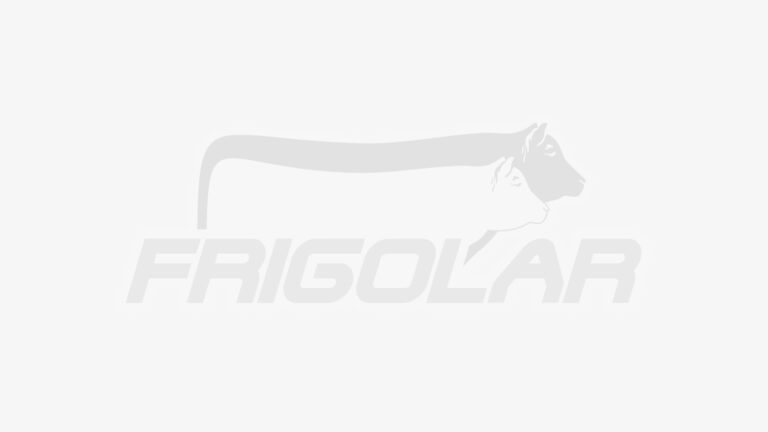 MERCADO INTERNO – FRIGOLAR